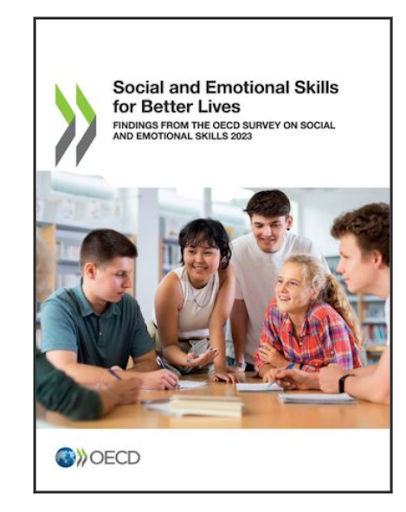 Reimagining Social and Emotional Learning: From Individual Competencies ...